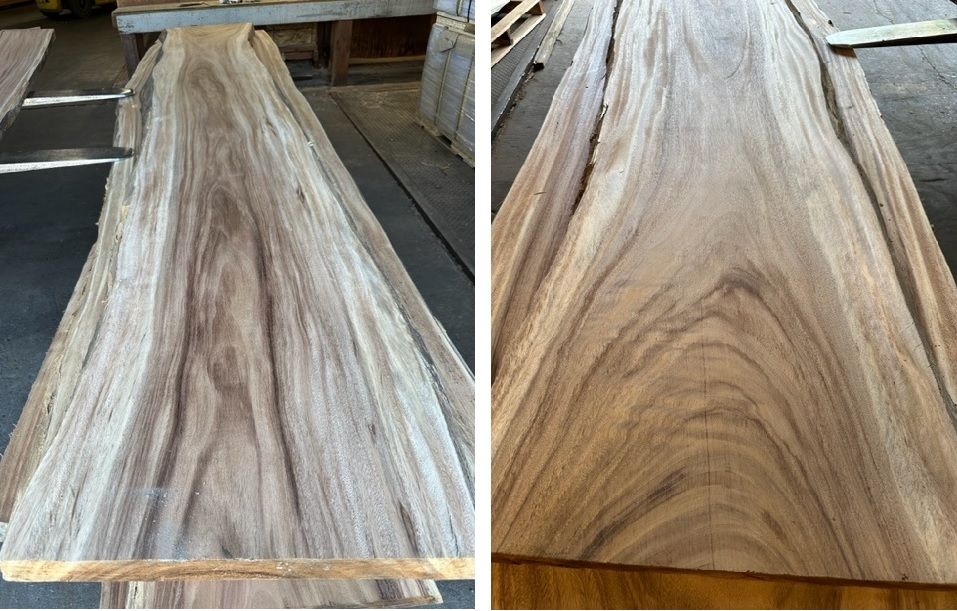 Monkey Pod Live Edge Slab | Finest Brazilian Decking