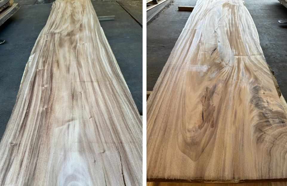 Monkey Pod Live Edge Slab | Finest Brazilian Decking